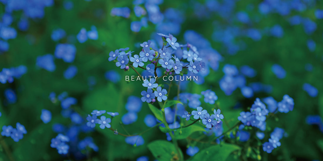 Beauty column – 粋オンラインストア
